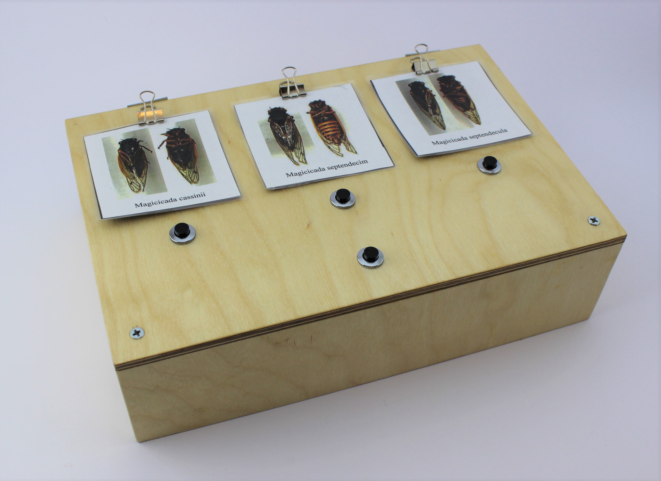 Sound Box – Adam Gerhardstein