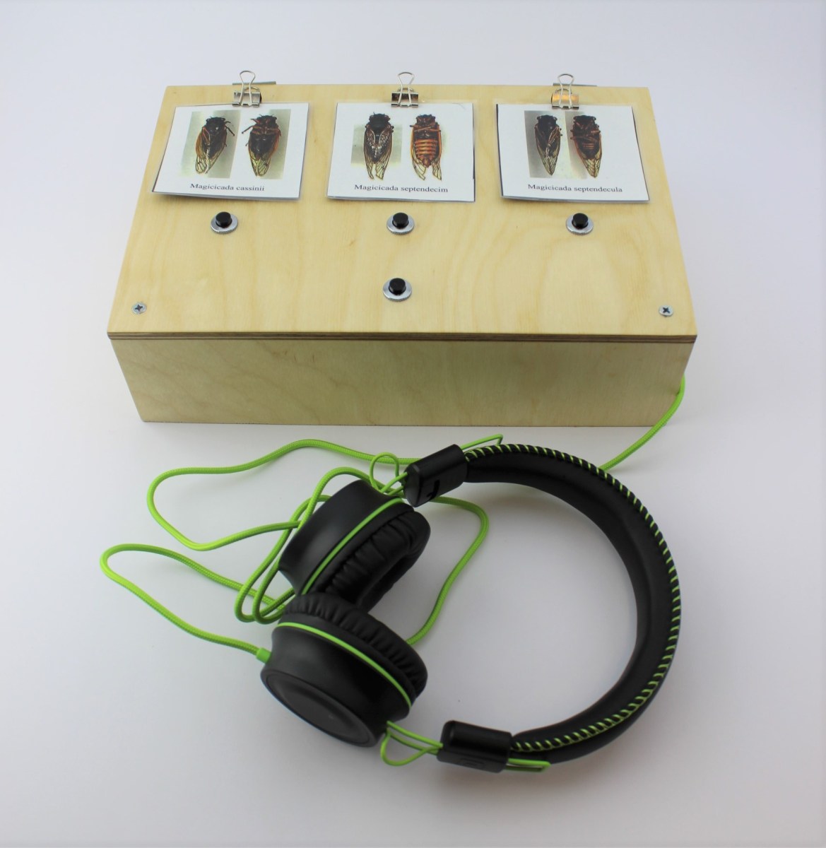 Sound Box – Adam Gerhardstein